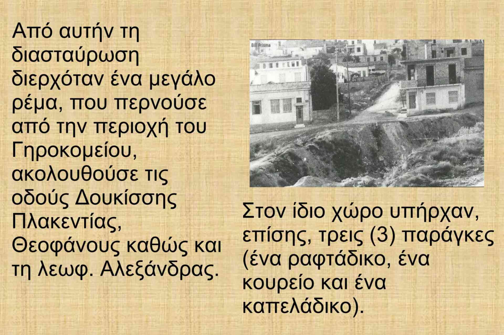 Το «άγνωστο» Άλσος της μιας Νυκτός στην καρδιά της Αθήνας | THECITIZEN.GR